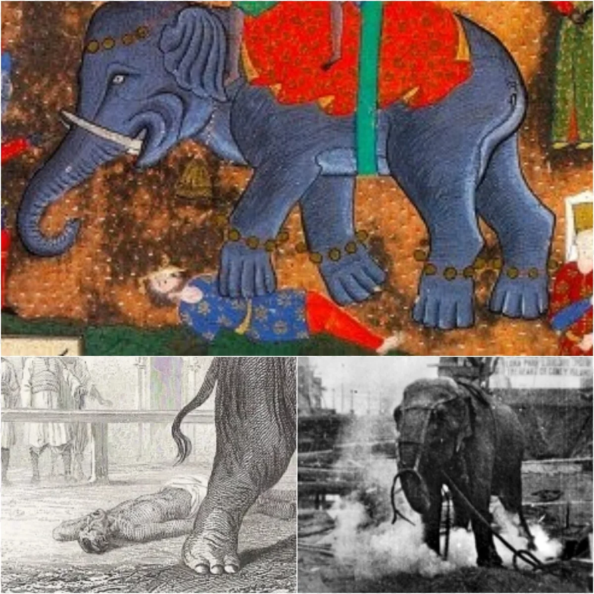 Hidden History: Elephants Were Once Used in Strange and Harsh Forms of ...
