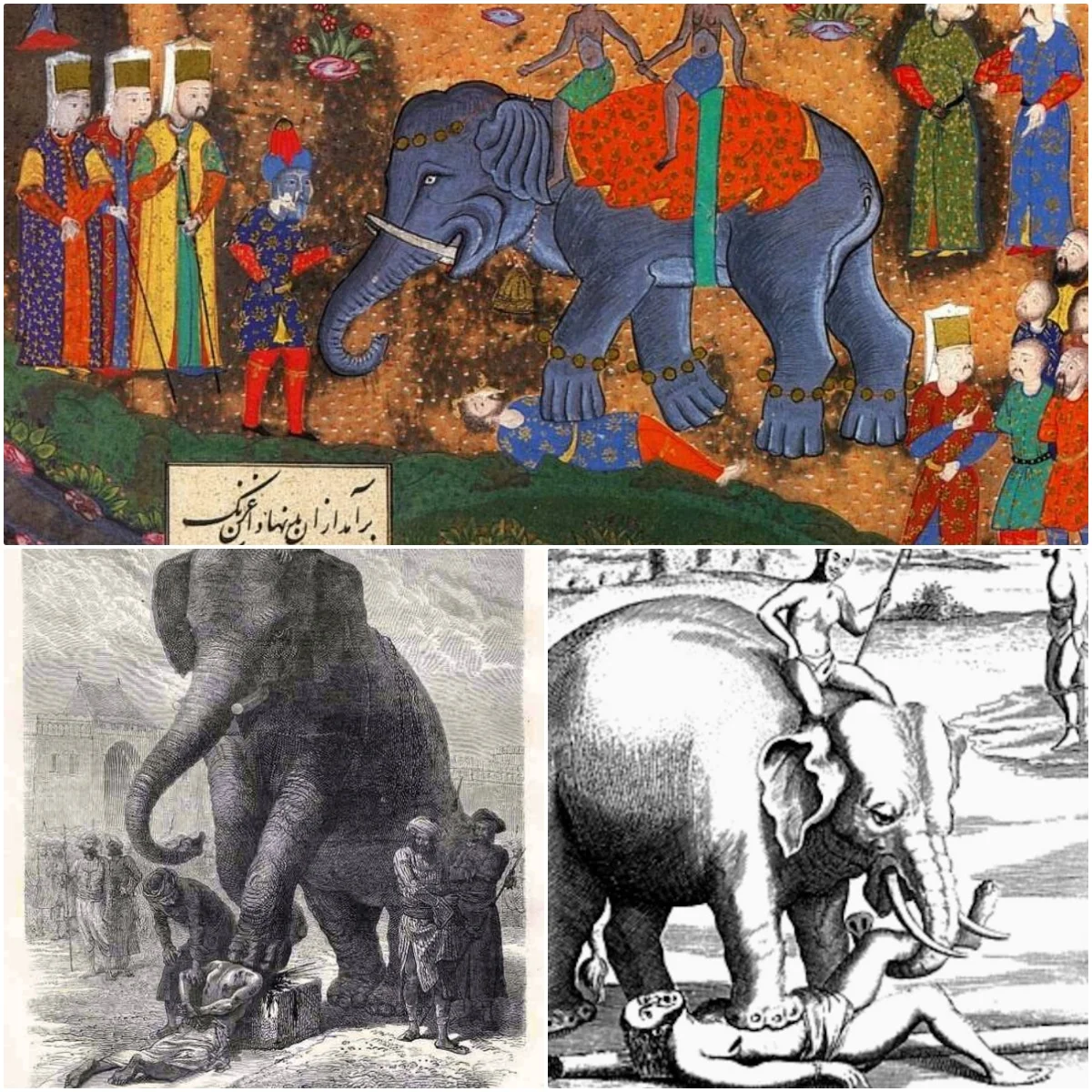 Execution by Elephant: War elephants were not only battlefield weapons ...