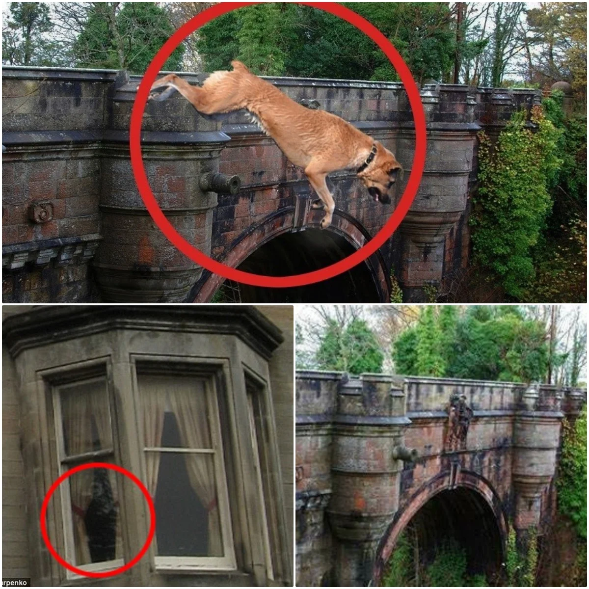 Overtoun Bridge: Scotland's 'bloodiest' bridge - Where dogs mysteriously 'commit suicide,' and ...