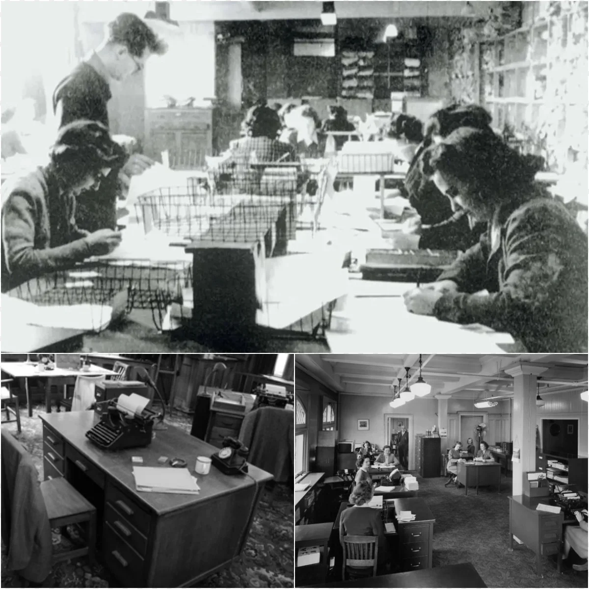 The long-hidden footage finally reveals the astonishing truth about ...