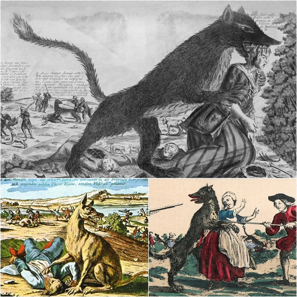 Over 100 Victims: The True Story of the Gévaudan Beast—France’s Most ...