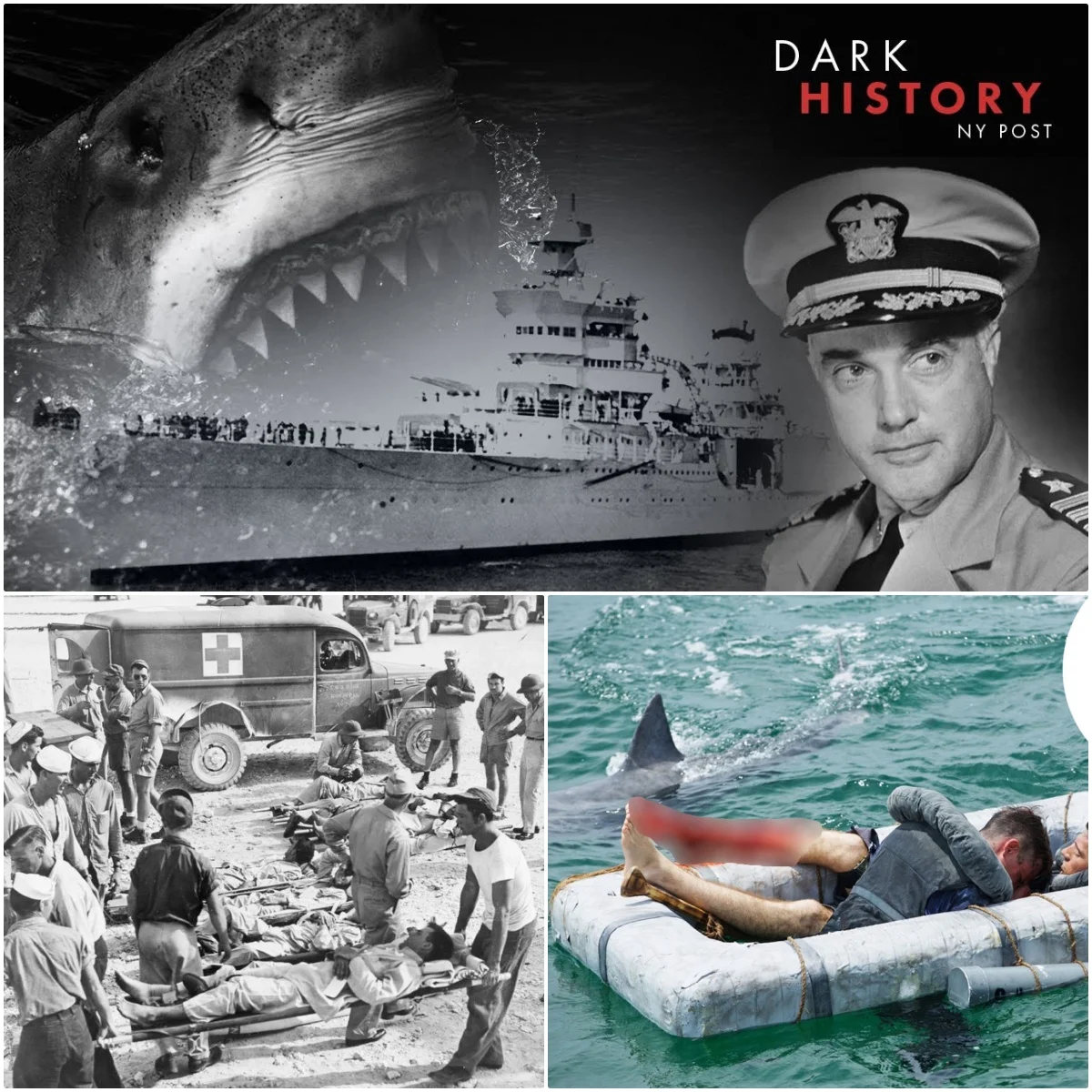 The USS Indianapolis Shark Attack: How The Sinking Of A World War II ...