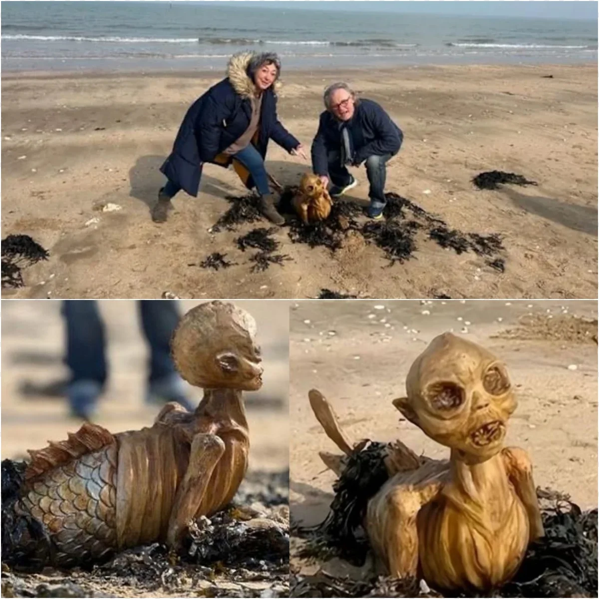 Beachgoers Stunned: ‘It Wasn’t Human’ – Bizarre Skeletal Creature With ...