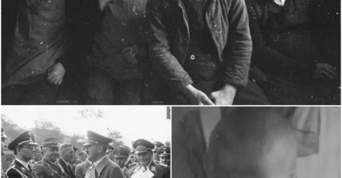 Aktion T4: The Brutal Nazi Program That Coldly Murdered 300,000 ...