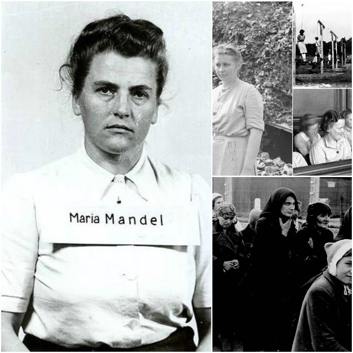 Beautiful Beast in Uniform : Nazi Camp Guard Maria Mandl Personally ...