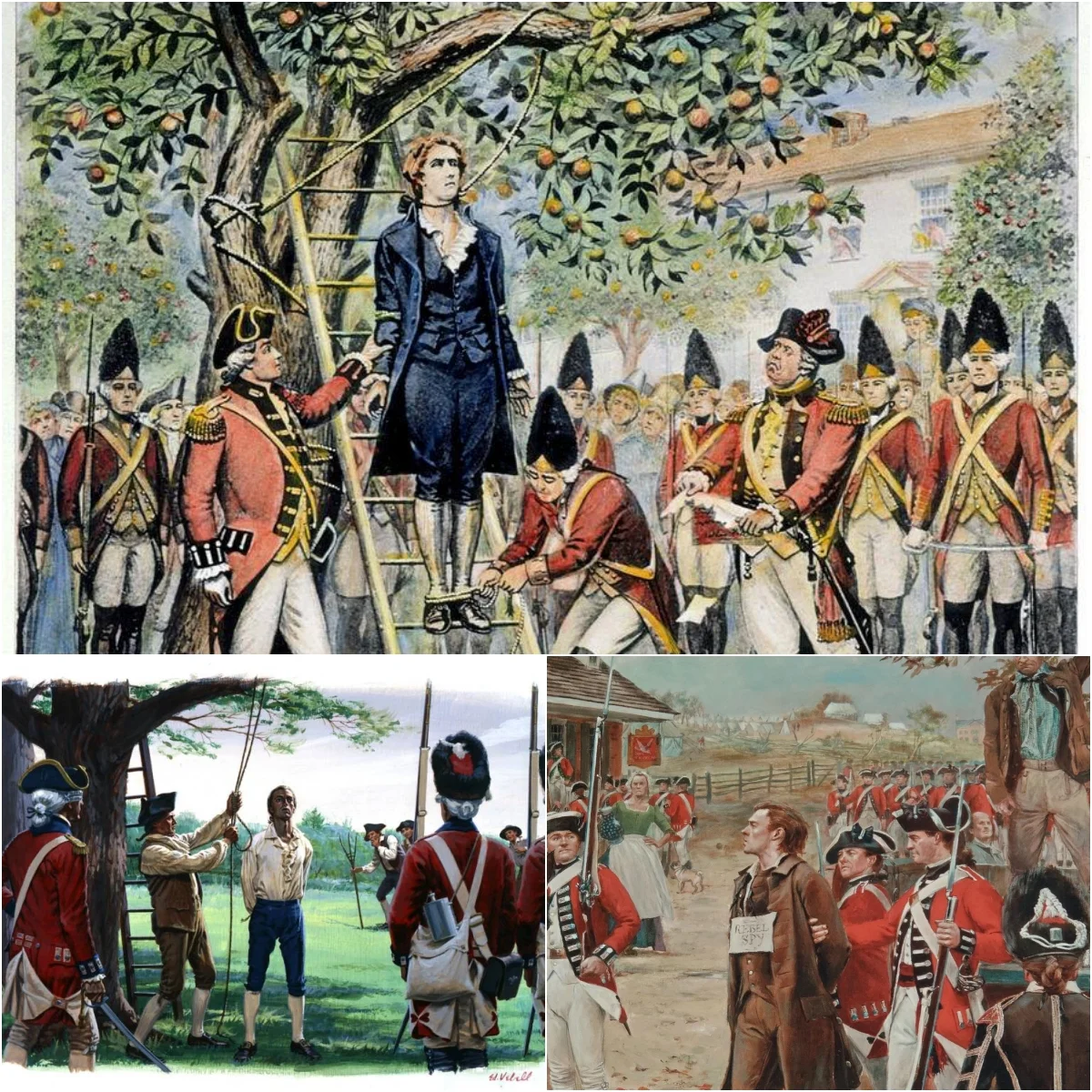 AMERICA’S FIRSTT SPY SECRET: What Nathan Hale Really Said Before ...