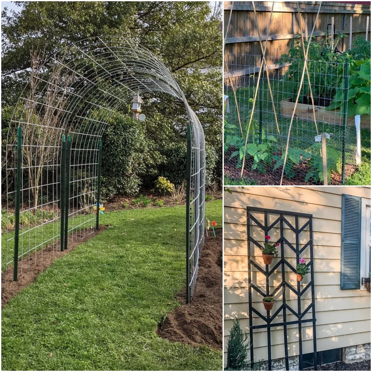 18 Ingenious DIY Trellis Ideas To Beautify Your Garden
