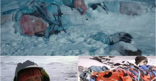 Abandoned Twice on Everest: The Horrifying Final Hours of Yasuko Namba - The Legendary Seven ...