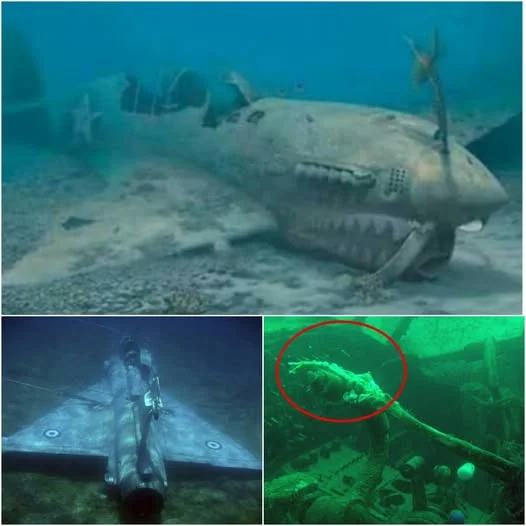 Mysterious Giant Plane Discovered Intact Deep in the Bermuda Triangle ...