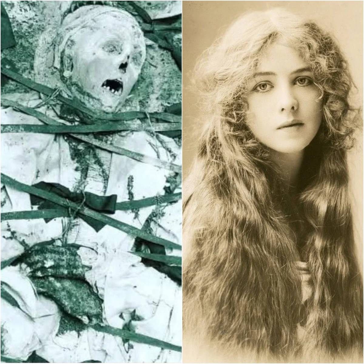 Unkillable Terror: The Village That Failed to Kill the ‘Vampire Witch ...