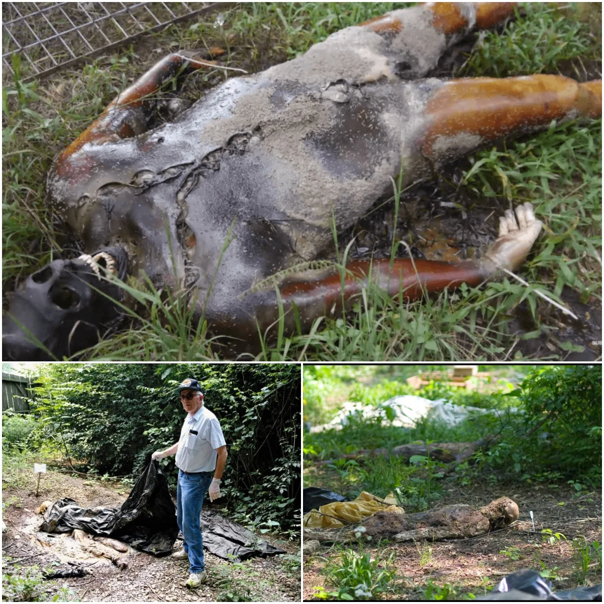 The Shocking Reality of 'Body Farms' Where the Dead Lie Exposed to the ...