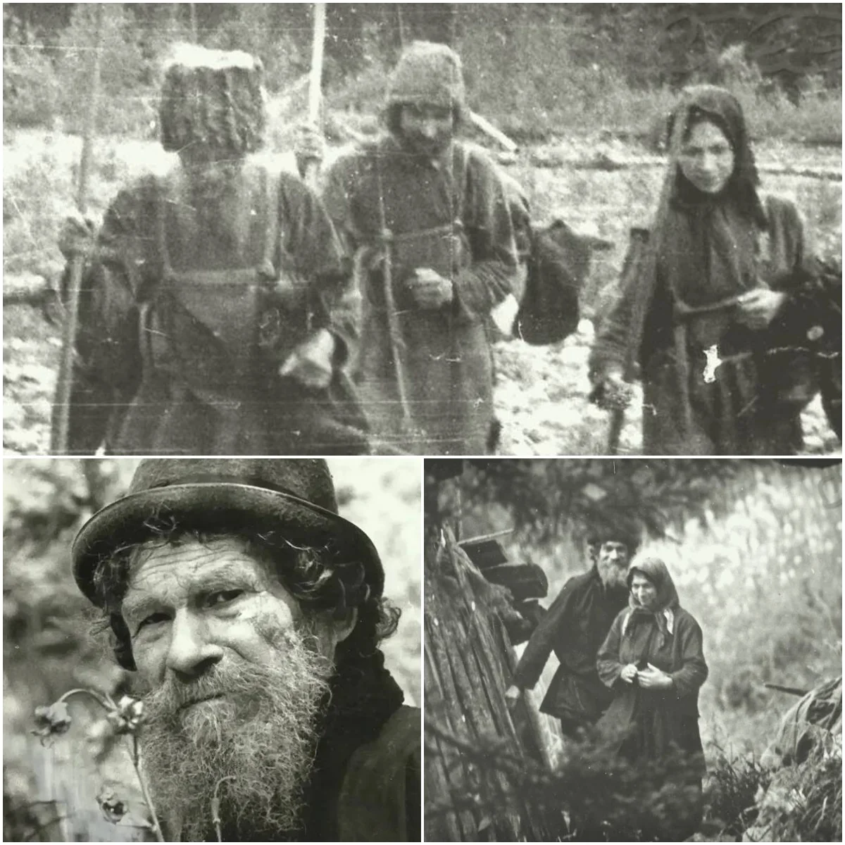 The Lykovs' 42-Year Exile: The Chilling True Story of a Family That ...