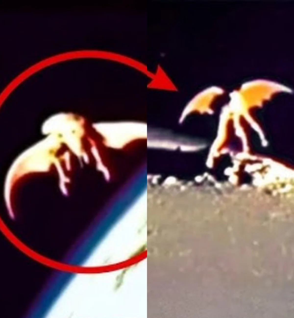 James Webb Telescope FINALLY Found What NASA Was Hiding On Pluto All ...