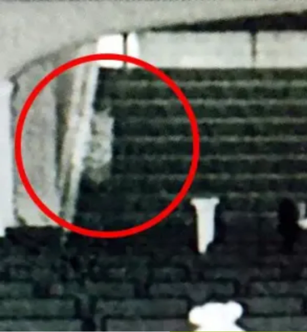 OPERATIC DIVA'S GHOST REAPPEARS! Shocking photos reveal the singer's ...