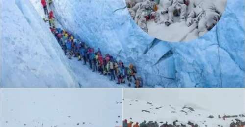 DEATH ZONE TRAGEDY: A Desperate Plea for Help as 600+ Climbers Are ...