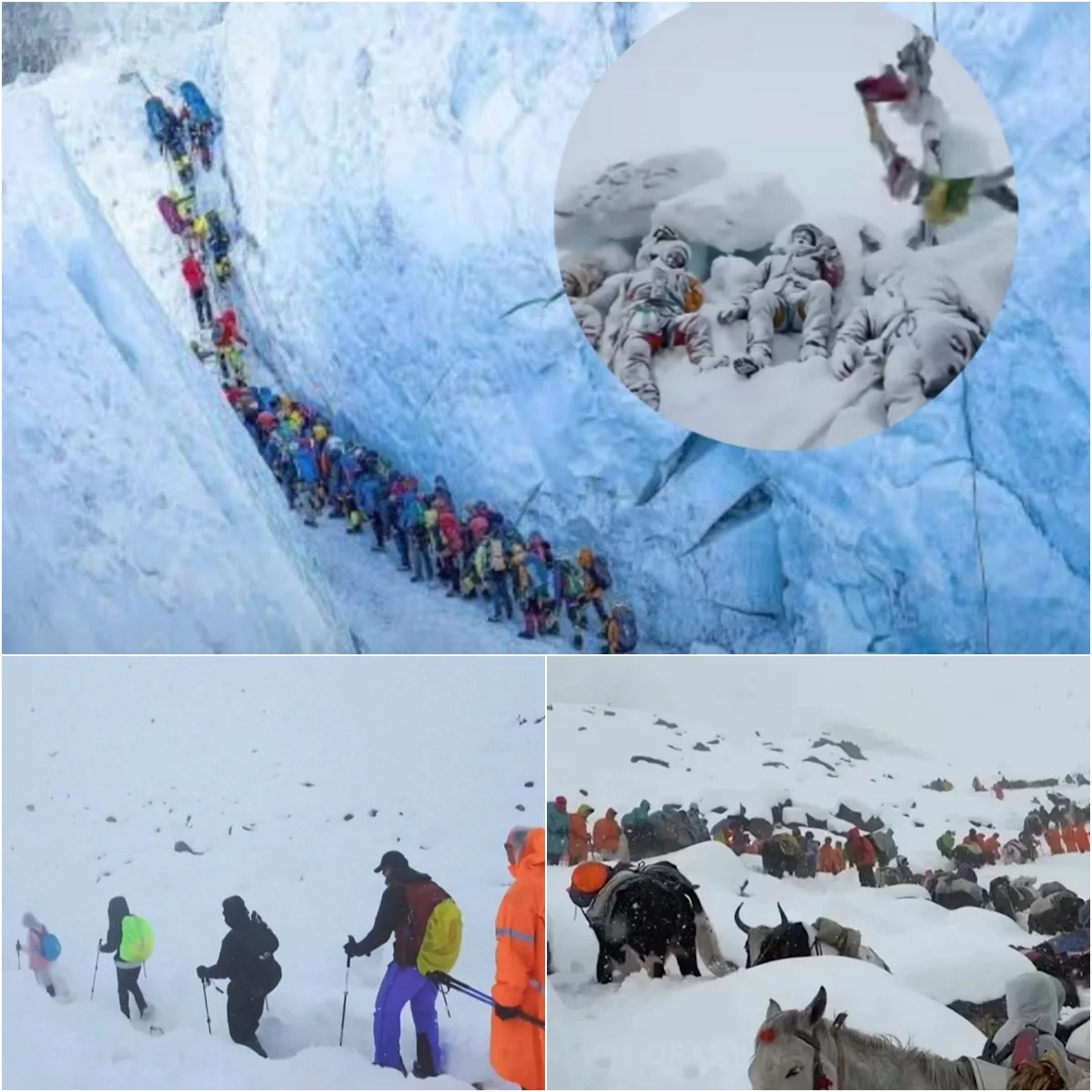 DEATH ZONE TRAGEDY: A Desperate Plea for Help as 600+ Climbers Are ...