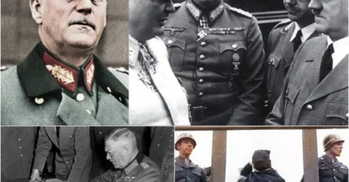 FROM HITLER'S RIGHT HAND TO COWARDICE: The Painful Death of Nazi Field ...