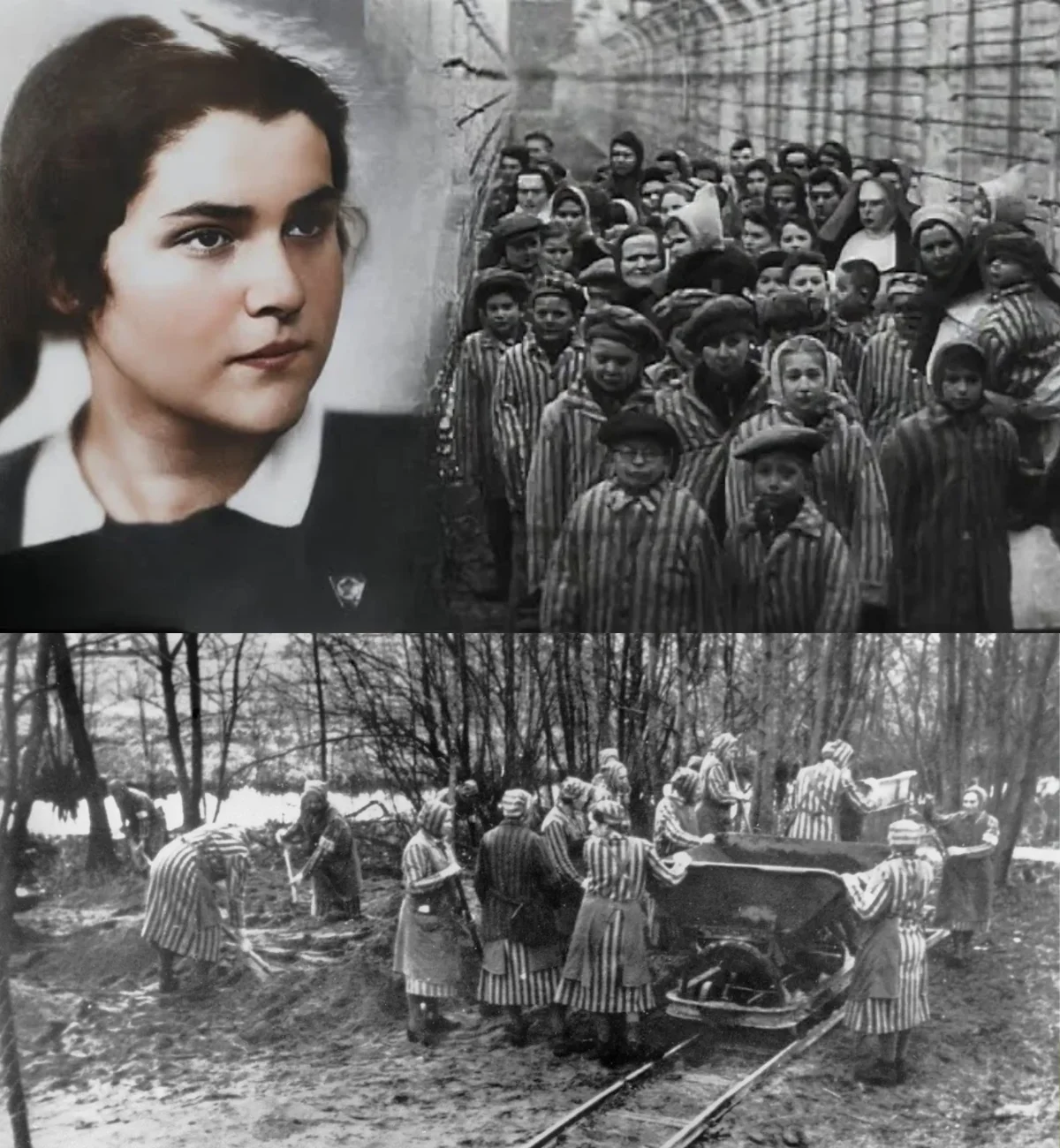 THE PRICE OF BEAUTY IN HELL: How a Female Guard’s Envy Doomed the Most ...