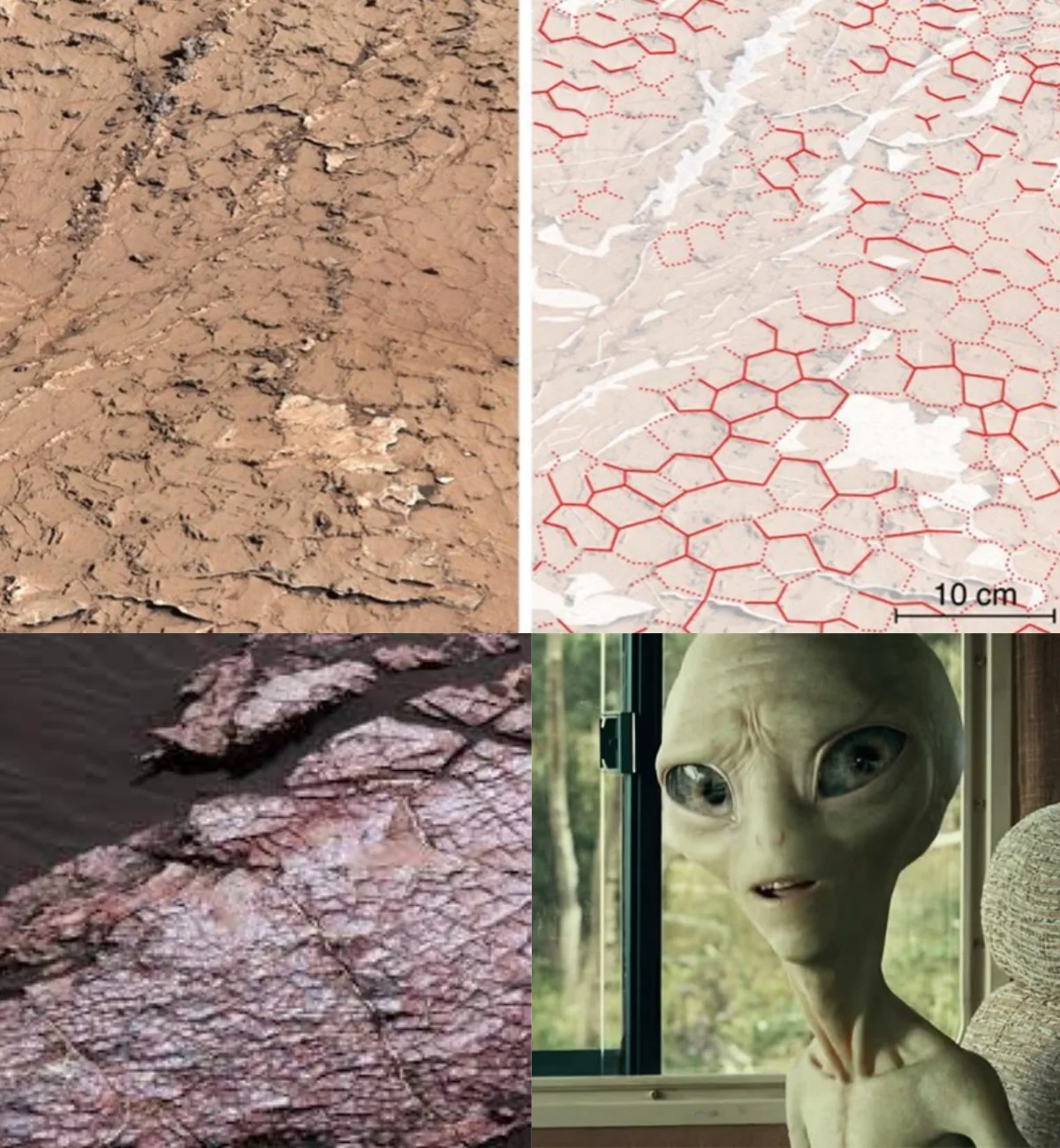 Found A "Honeycomb" That Could Be Where Alien Creatures Were Born