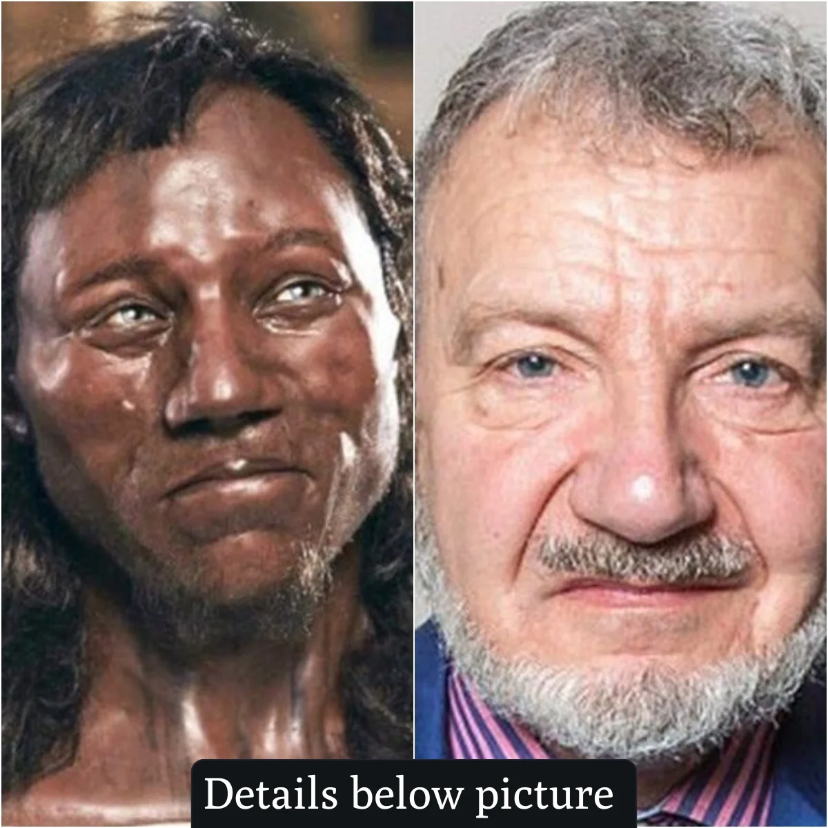 An English Teacher of History and a 9000-year-old cheddar man have the ...