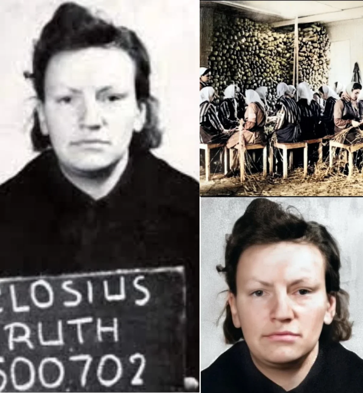 “THE SCOURGE” OF RAVENSBRÜCK: The Mystery of Ruth Neudeck’s Final Fate ...