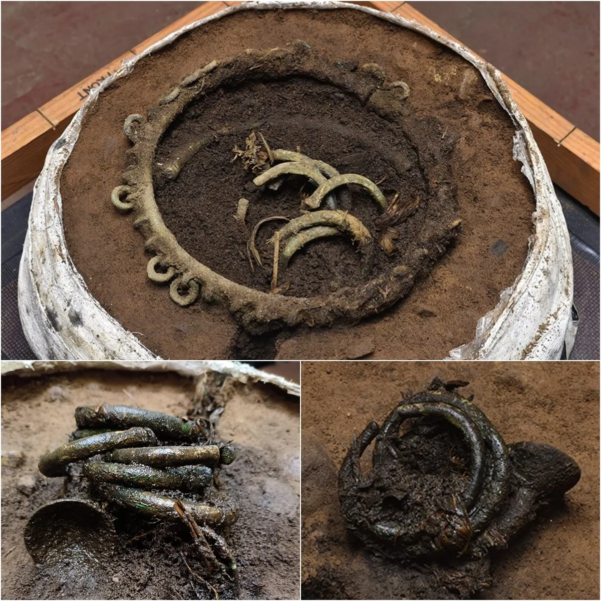 3,000-year-old Bronze Age Hoard Discovered During House Building ...