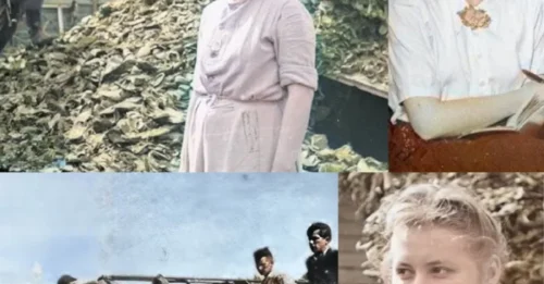 THE “BEAUTIFUL GHOST” OF STUTTHOF FACED HER FINAL RECKONING: The Public ...