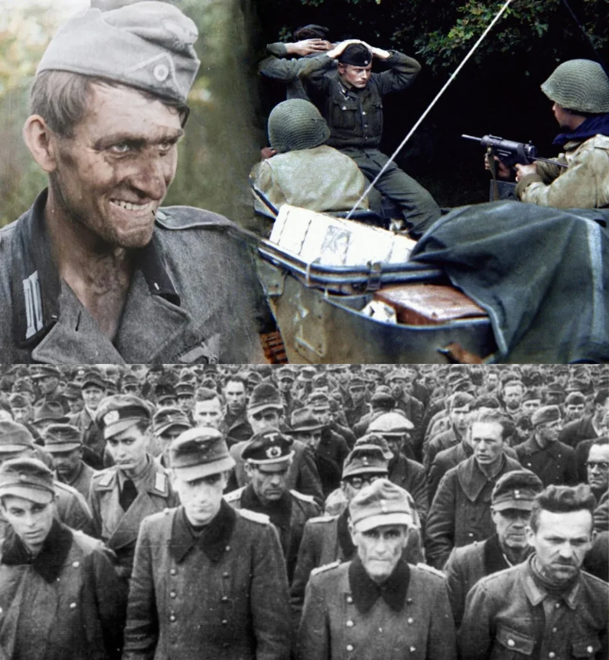 THE FINAL MOMENTS OF 2,000 NAZI PERSONNEL: How the Tragedy of 428 ...