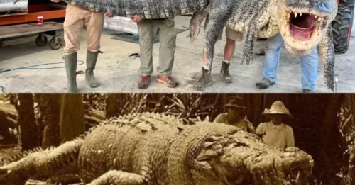 A Florida-based crocodile hunting company recently discovered a giant ...