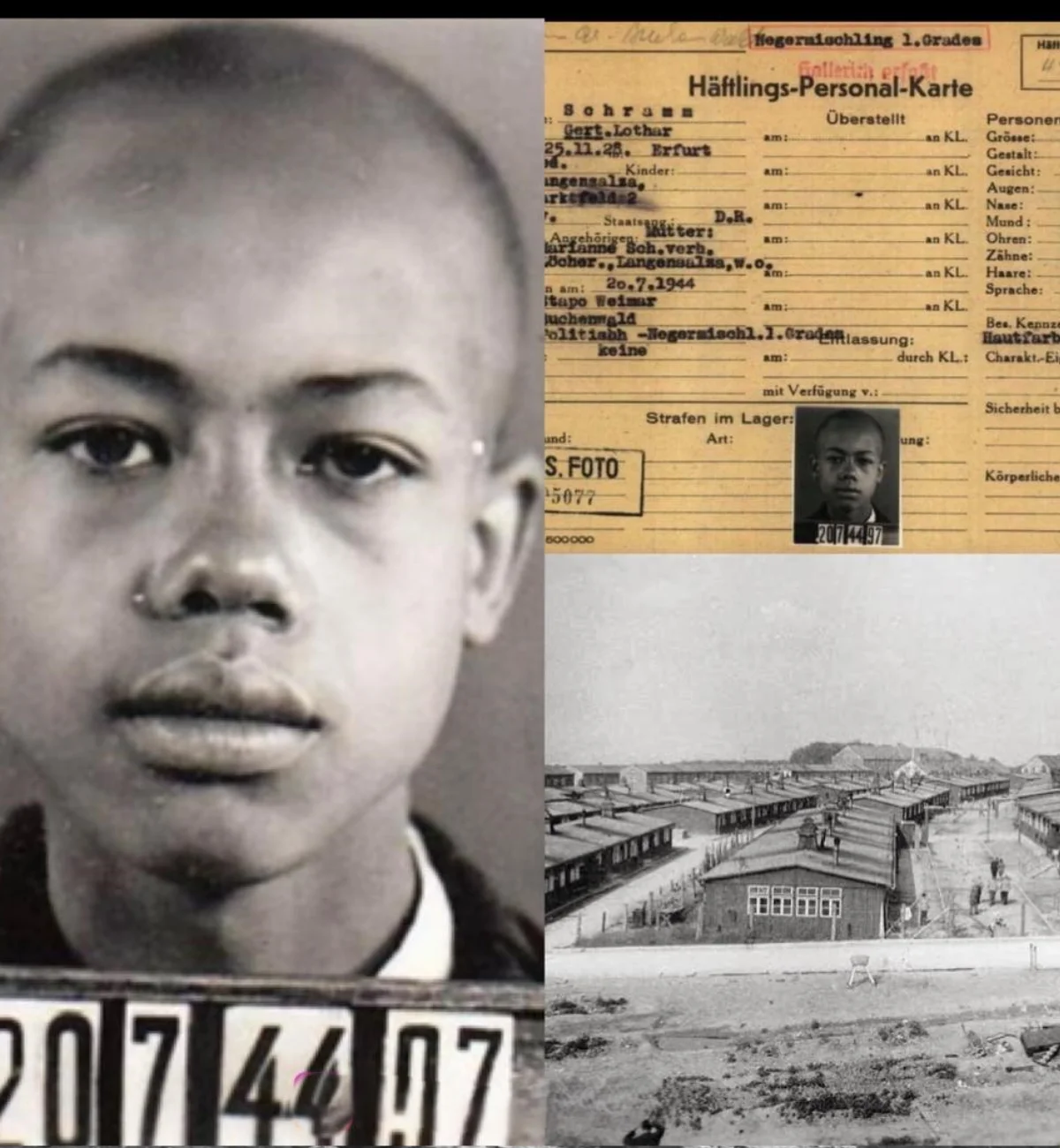 THE BOY WHO SURVIVED THE NAZI INFERNO AND HIS BITTERSWEET TRIUMPH: The ...