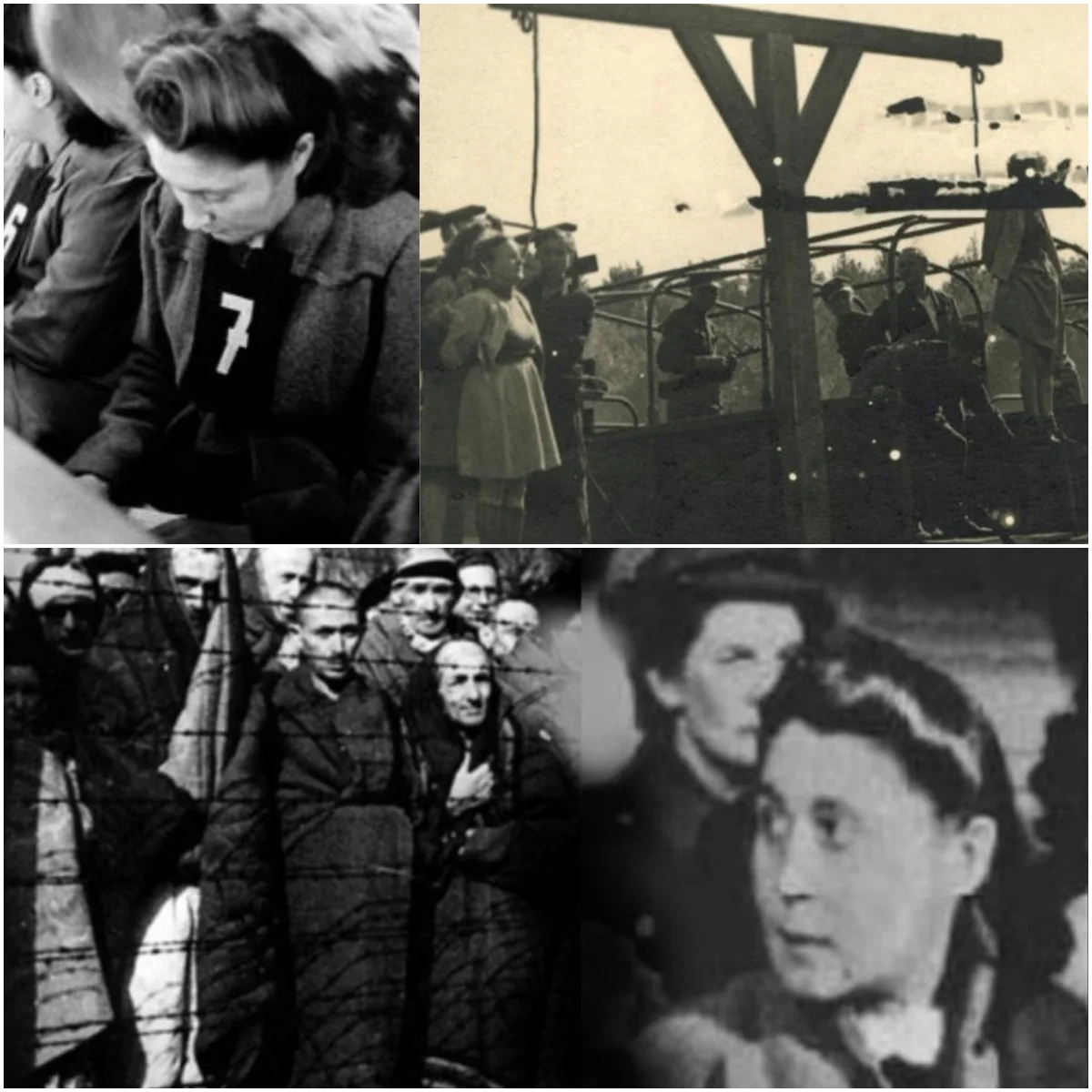 THE WOMAN WHO PLAYED GOD AT RAVENSBRÜCK: How Nurse-Turned-Executioner ...