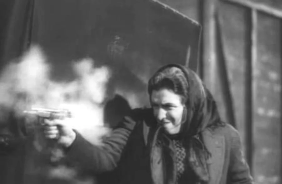 THE EXECUTION OF THE WOMAN WHO SHOT LENIN: The Catastrophic End and ...