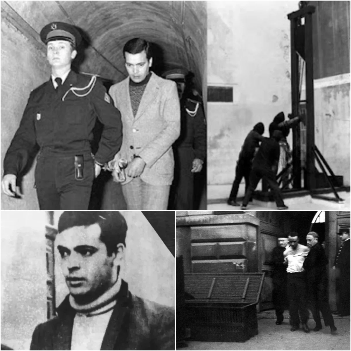 THE LAST MAN DECAPITATED IN THE WEST: The Shocking Death of Hamida ...