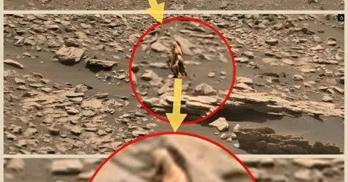 They Tightened the Siege Around Father and Child for 40 "Hopeless ...