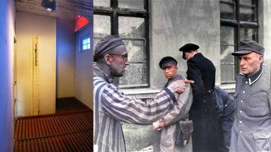 THE NECK DETENTION CAMP: The QUIETLY HARSH Punishment System of Nazi ...