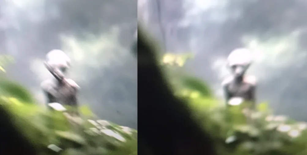 NOT A LEGEND: The Moment an Explorer CAME FACE-TO-FACE with a Living ...