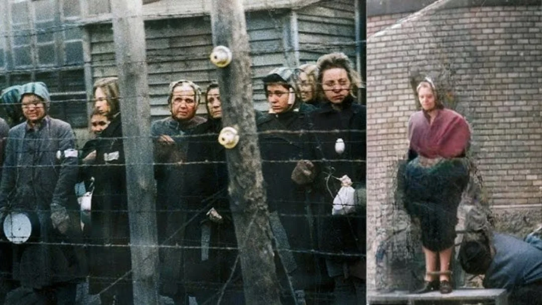 The EXECUTION of the Old Woman of Budapest: Manci Nagy – The CHILLING ...