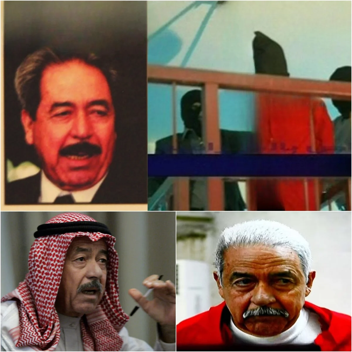 The EXECUTION of Saddam Hussein's Biological Weapons Beast: Chemical ...