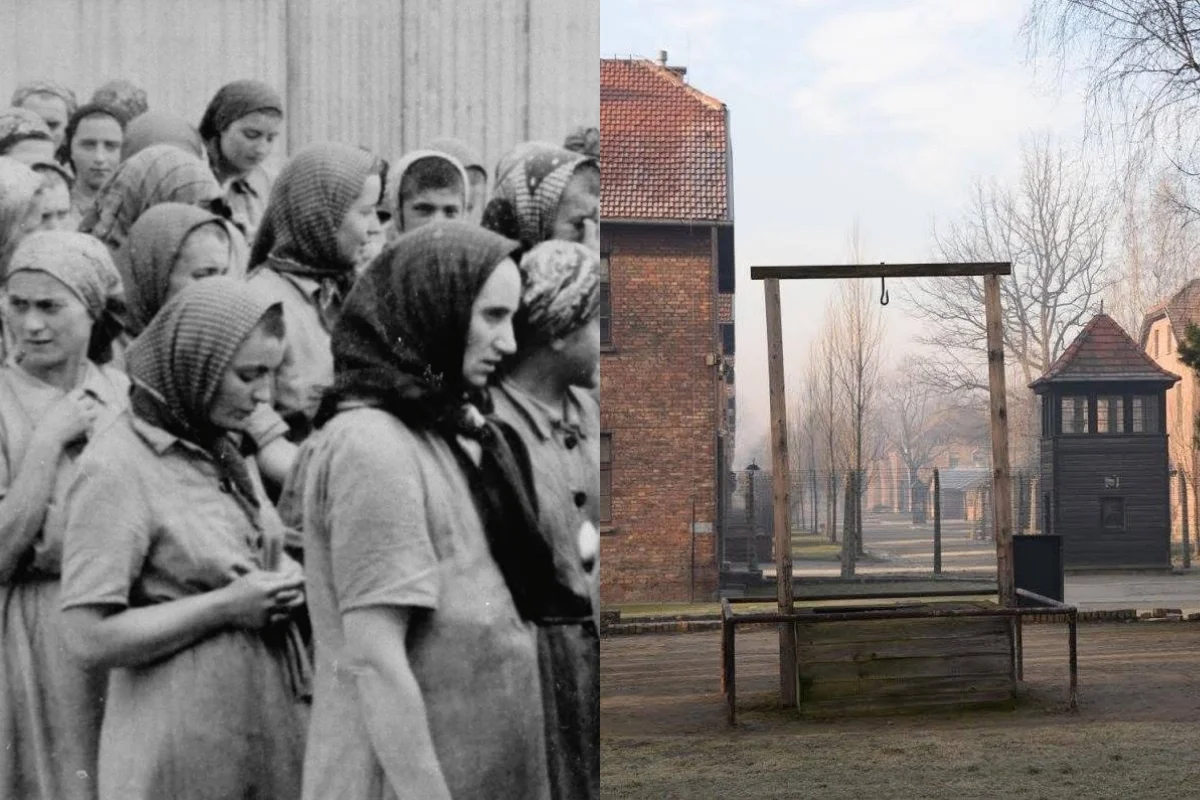 How SS Soldiers EXECUTED Prisoners with the “Gallows of Auschwitz”: The ...