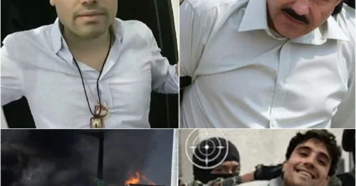 The BLOODY Operation in the Arrest of "El Chapo's Son": The ...
