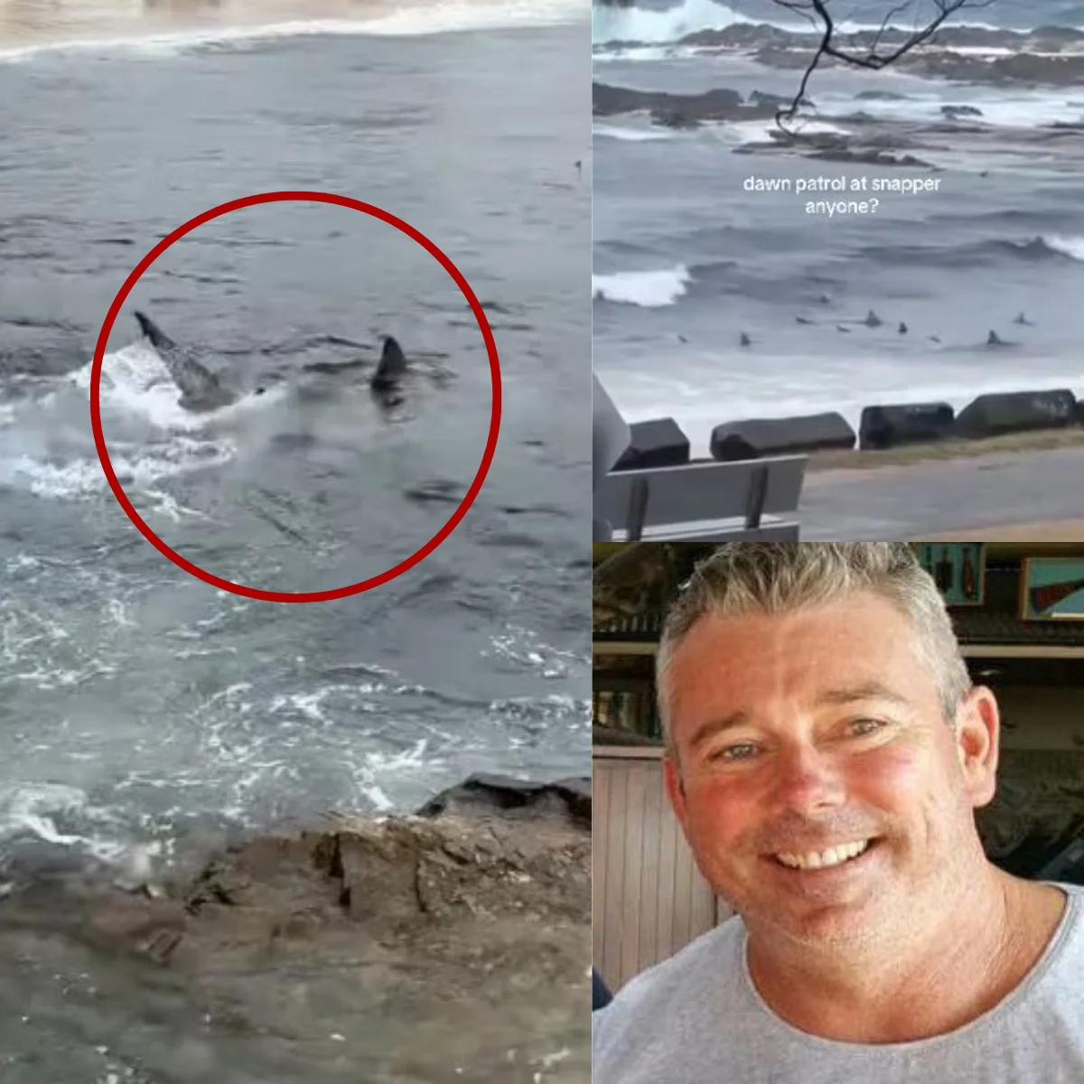 ‘Not a Safety Barrier’: Viral footage of sharks in a feeding frenzy at ...