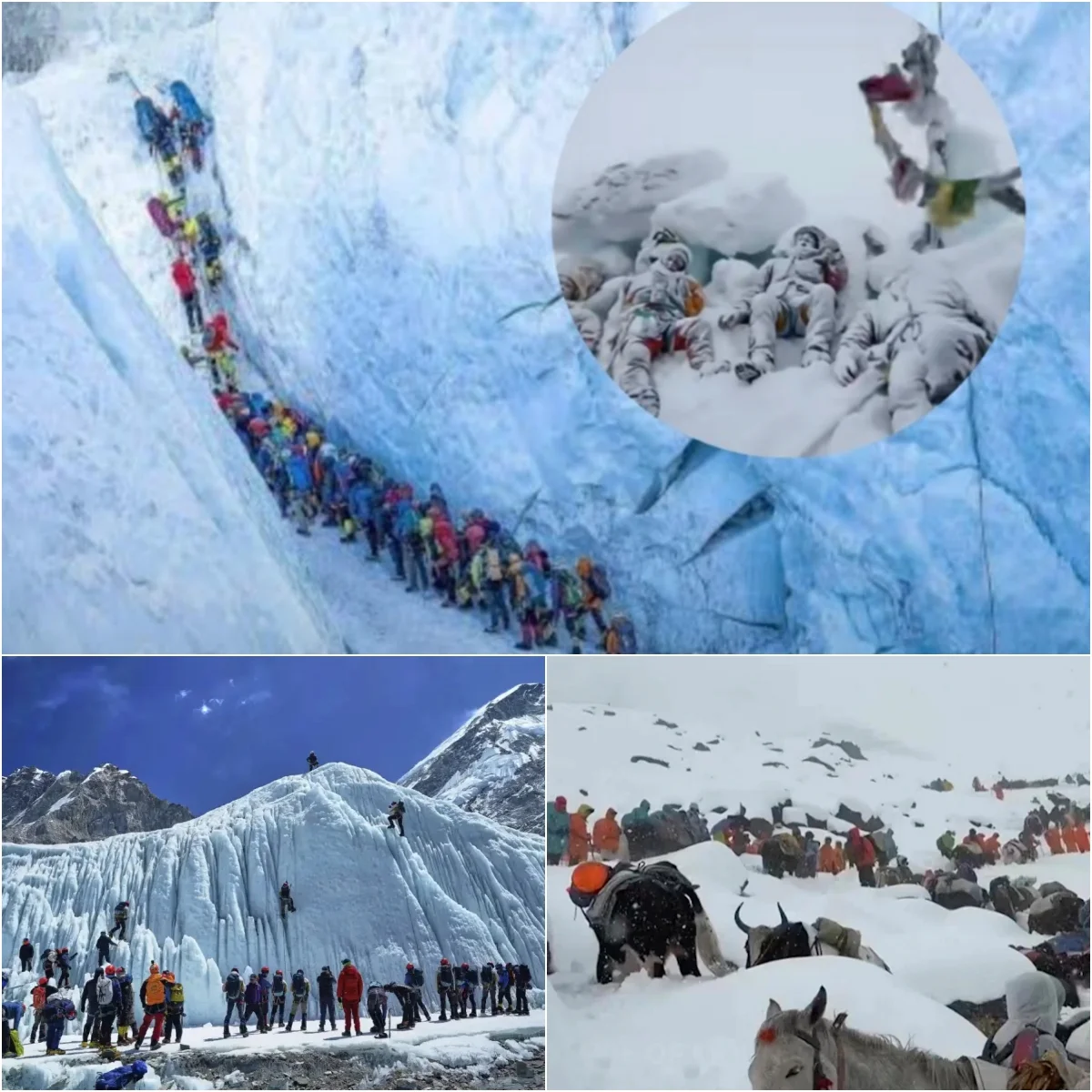 Frozen Solid at 29,000 Feet: The GRUESOME Aftermath of Everest's ...