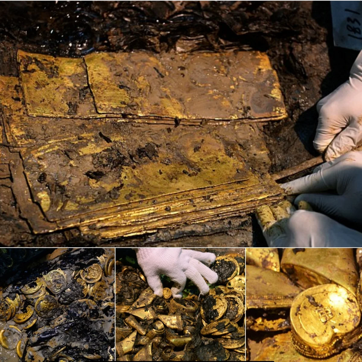 Treasure Hunter's DREAM Come True: 840 Gold Coins Hidden for 2,000 ...