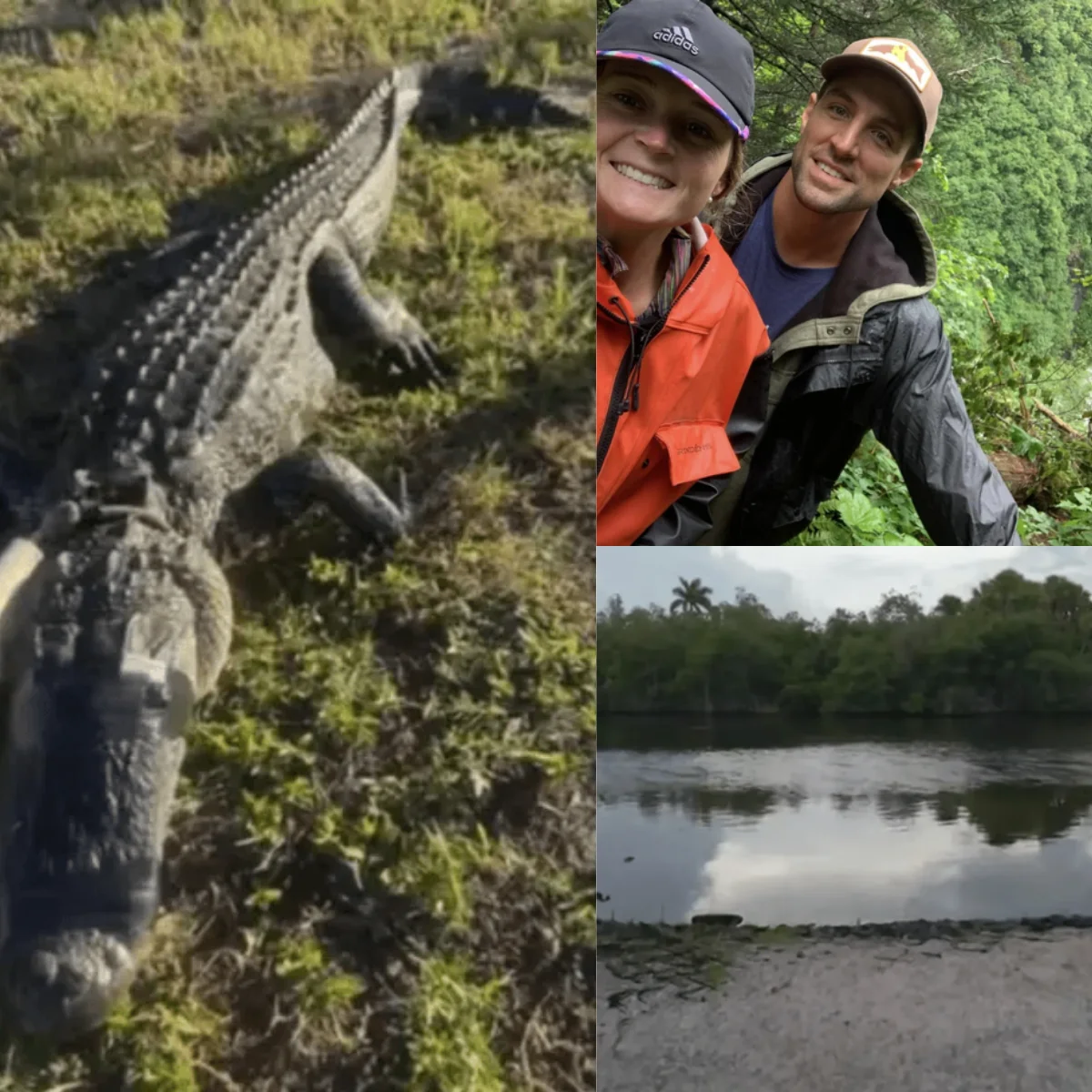 NATURE'S NIGHTMARE: 8-Feet of Pure Muscle Tried to Drag Her Under—But ...