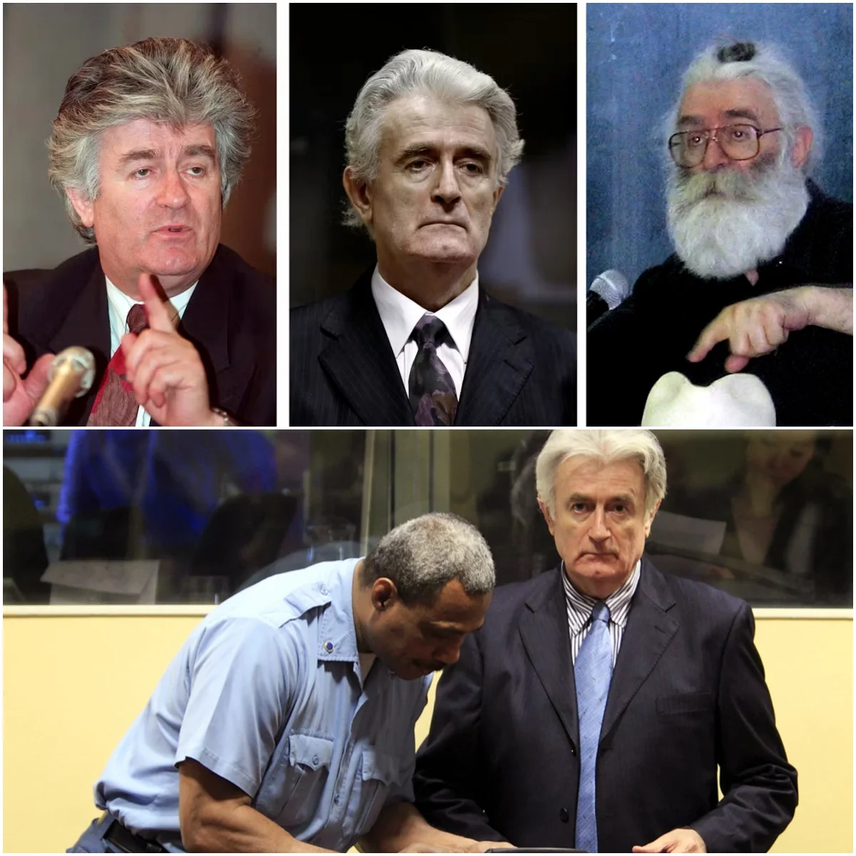 The Hague Trial The Final Moments Of Radovan Karadžić — The Poet And