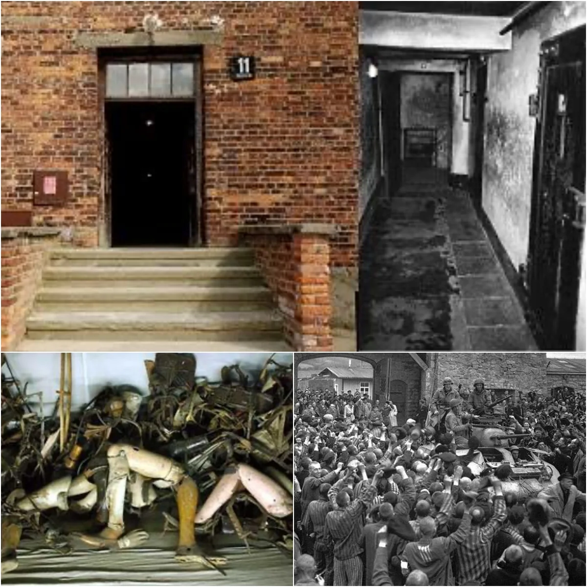 How SS Soldiers Tortured Prisoners In Block 11 Of The Auschwitz Camp ...